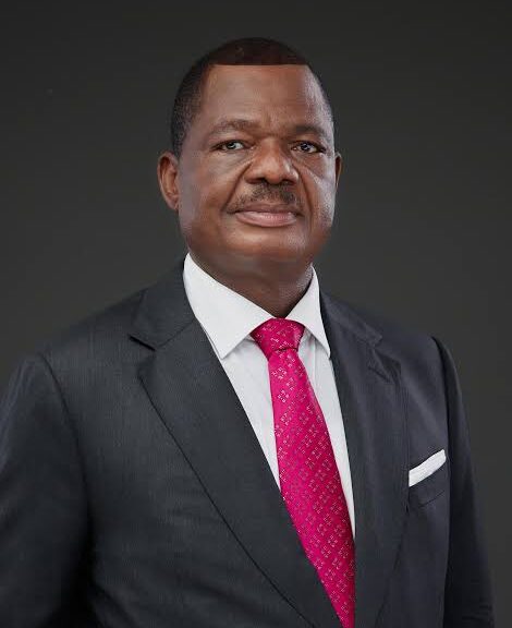 National Assembly Failed Despite Supreme Court Judgement – Izinyon - SIGNAL